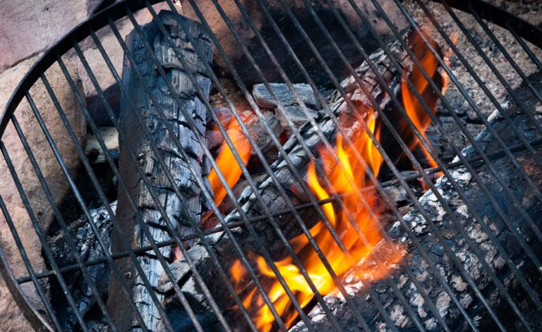 Adventures in Cooking – Campfire Eats that Satisfy - Edible Denver